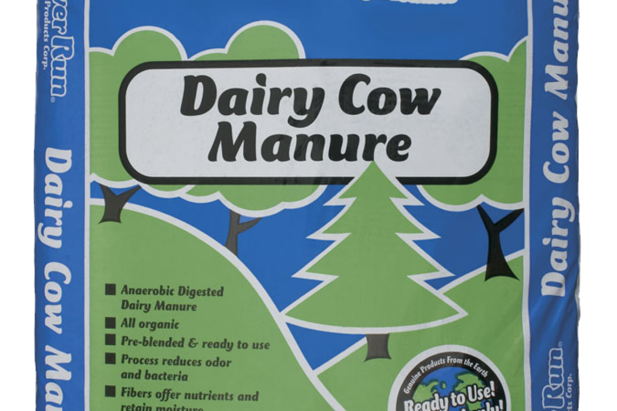 Dairy Cow Manure